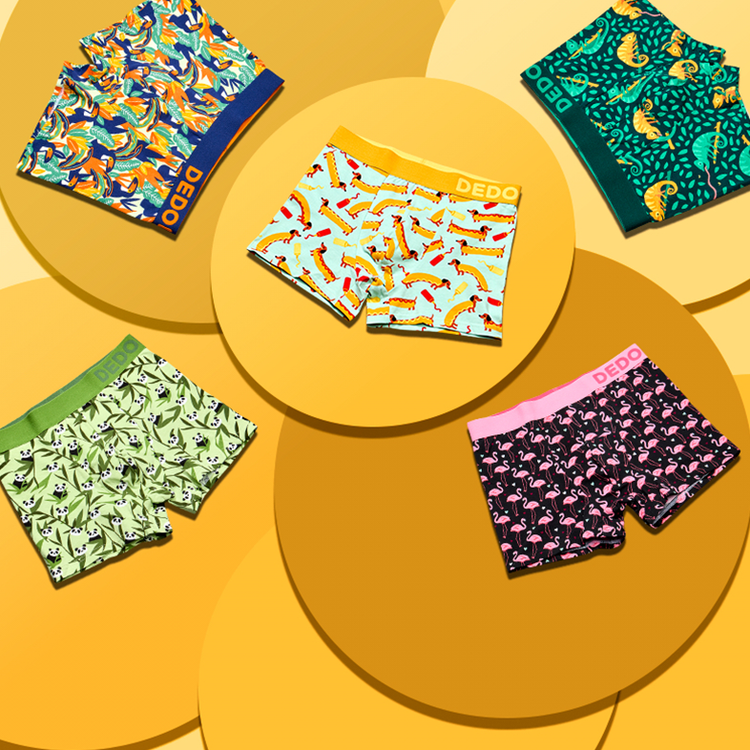 Discover Dedoles products